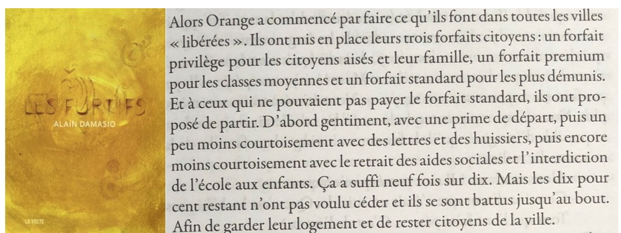 Ville gratuite ? Ville freemium ? - ibicity